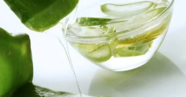 Aloe Vera Gel Turkey - StyleTurk