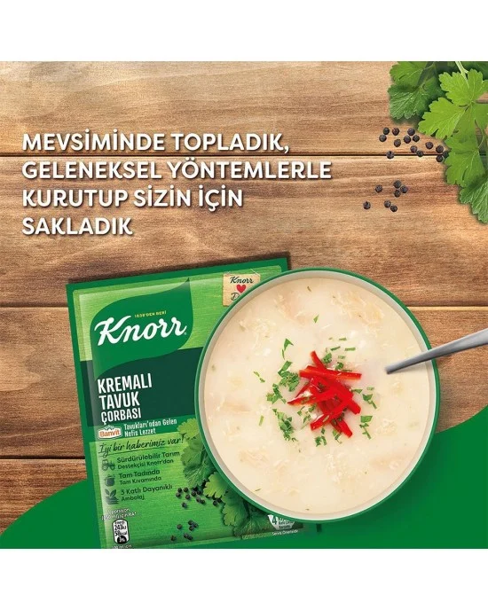 how to cook knorr cream of chicken soup