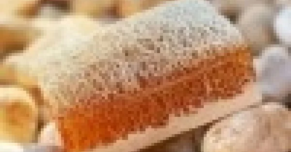 Style Turk, Pumpkin Fiber Infused Soap