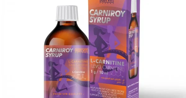 StyleTurk, CarniRoy SlimFit Carnitine Syrup, Burning Body Fat ...